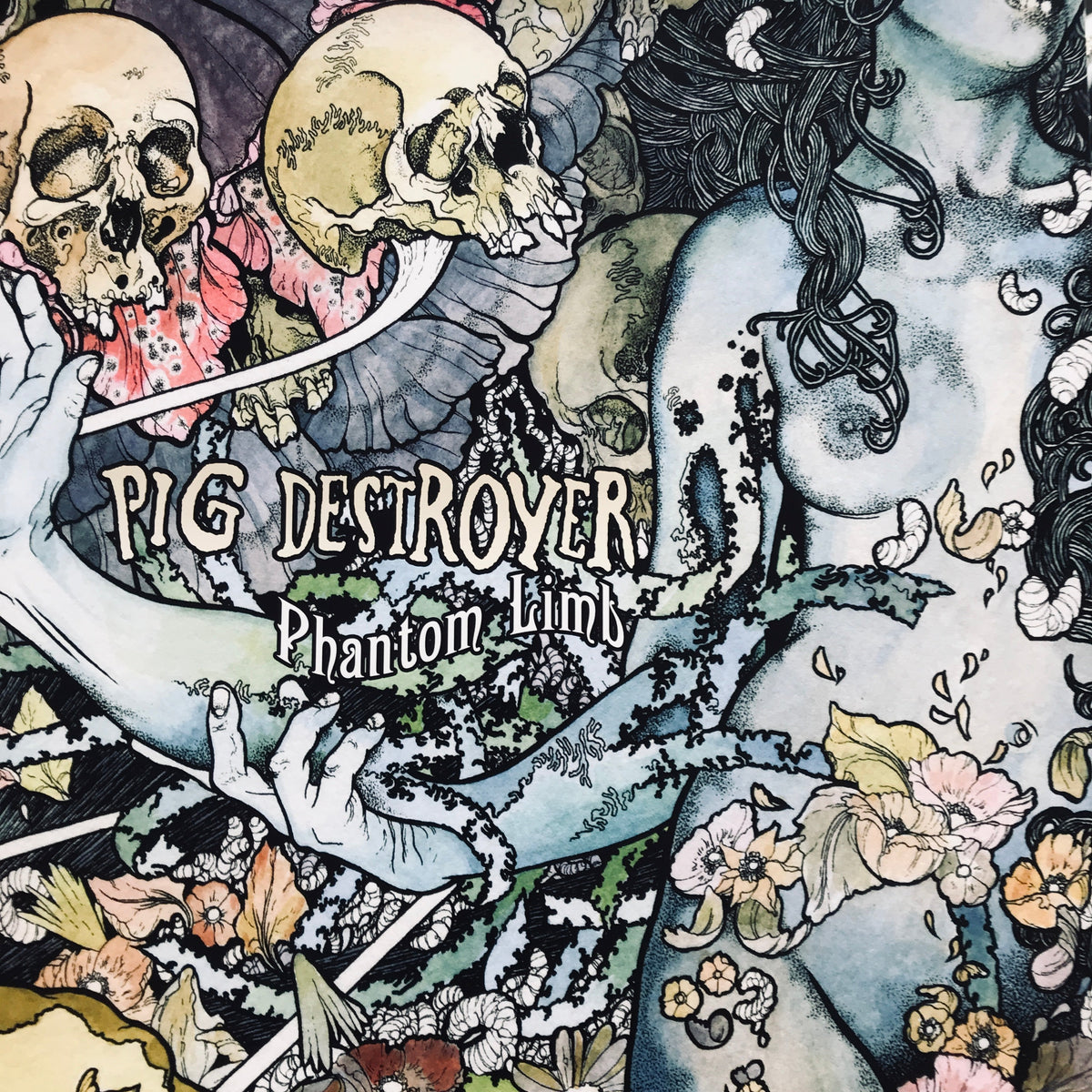 Pig Destroyer - Phantom Limb vinyl LP - Relapse Records – METEOR GEM