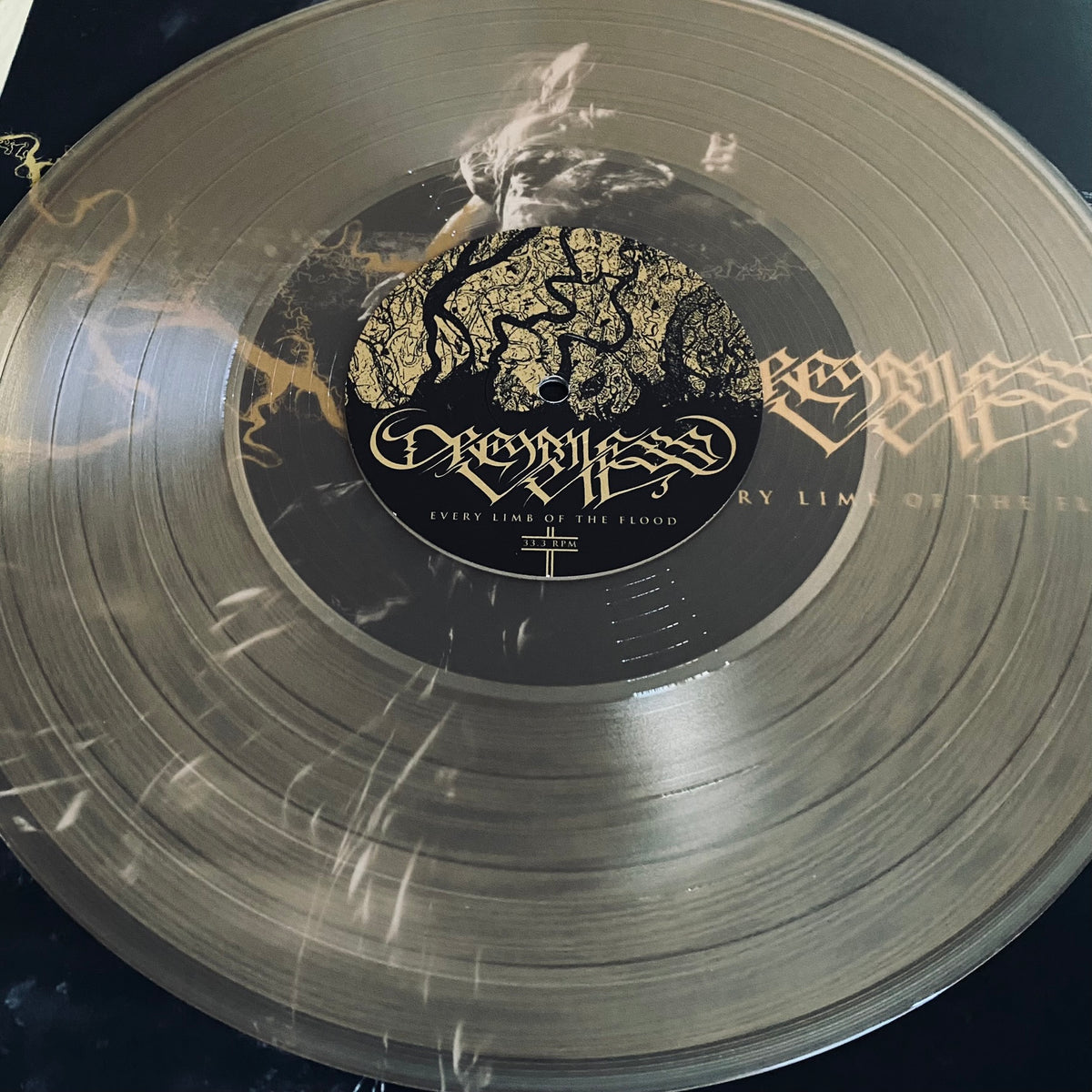 Dreamless Veil - Every Limb Of The Flood vinyl LP - Relapse Records ...