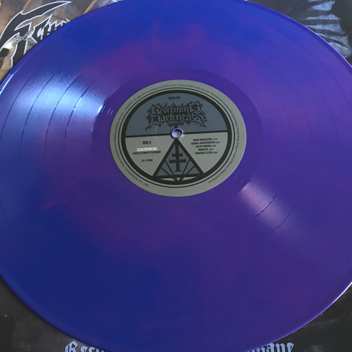 Schizophrenia - Recollections Of The Insane vinyl LP - Redefining ...