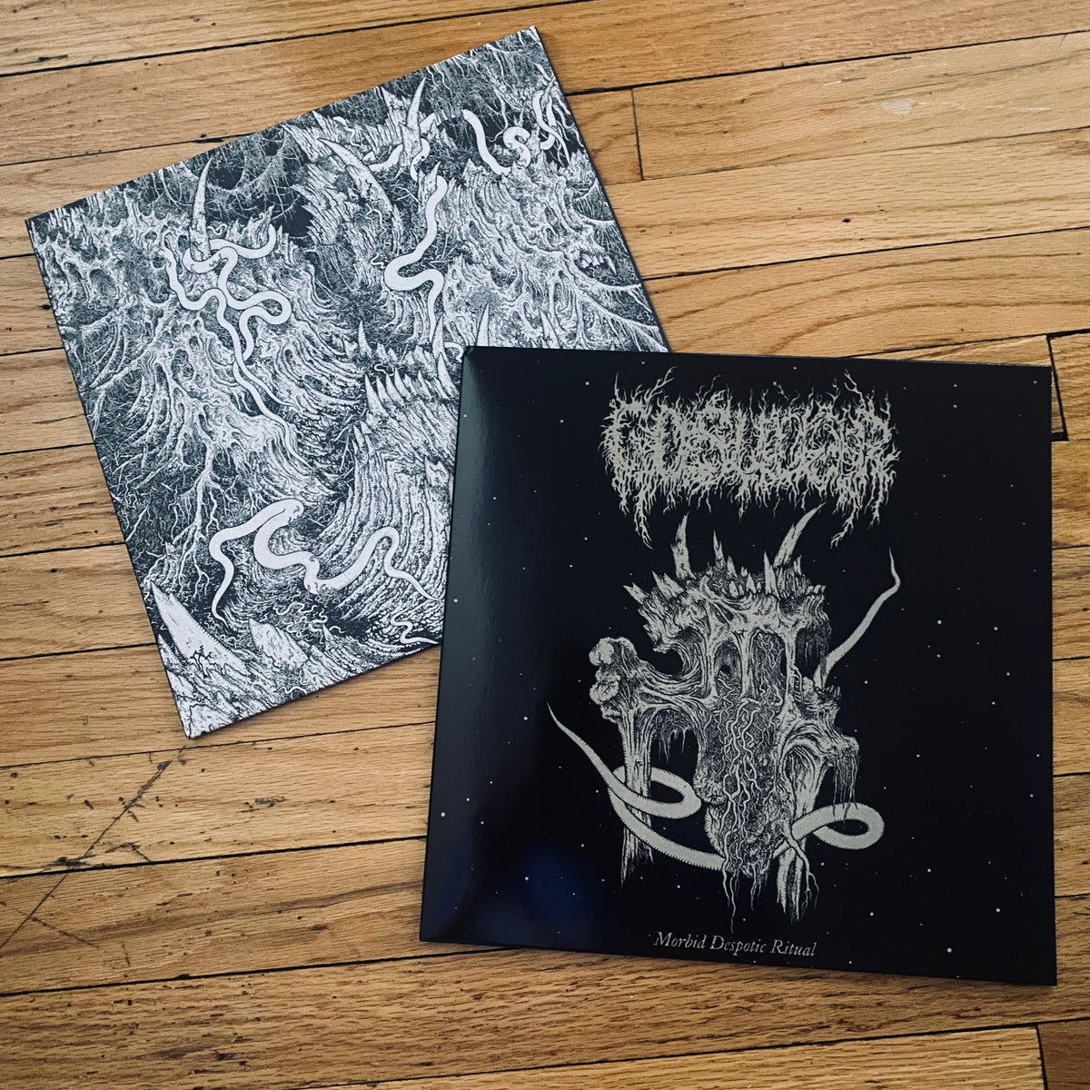 Gosudar Vinyl Bundle – METEOR GEM
